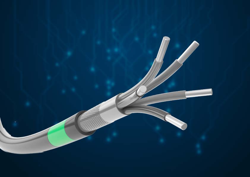 Companies - Python Holdings LLC